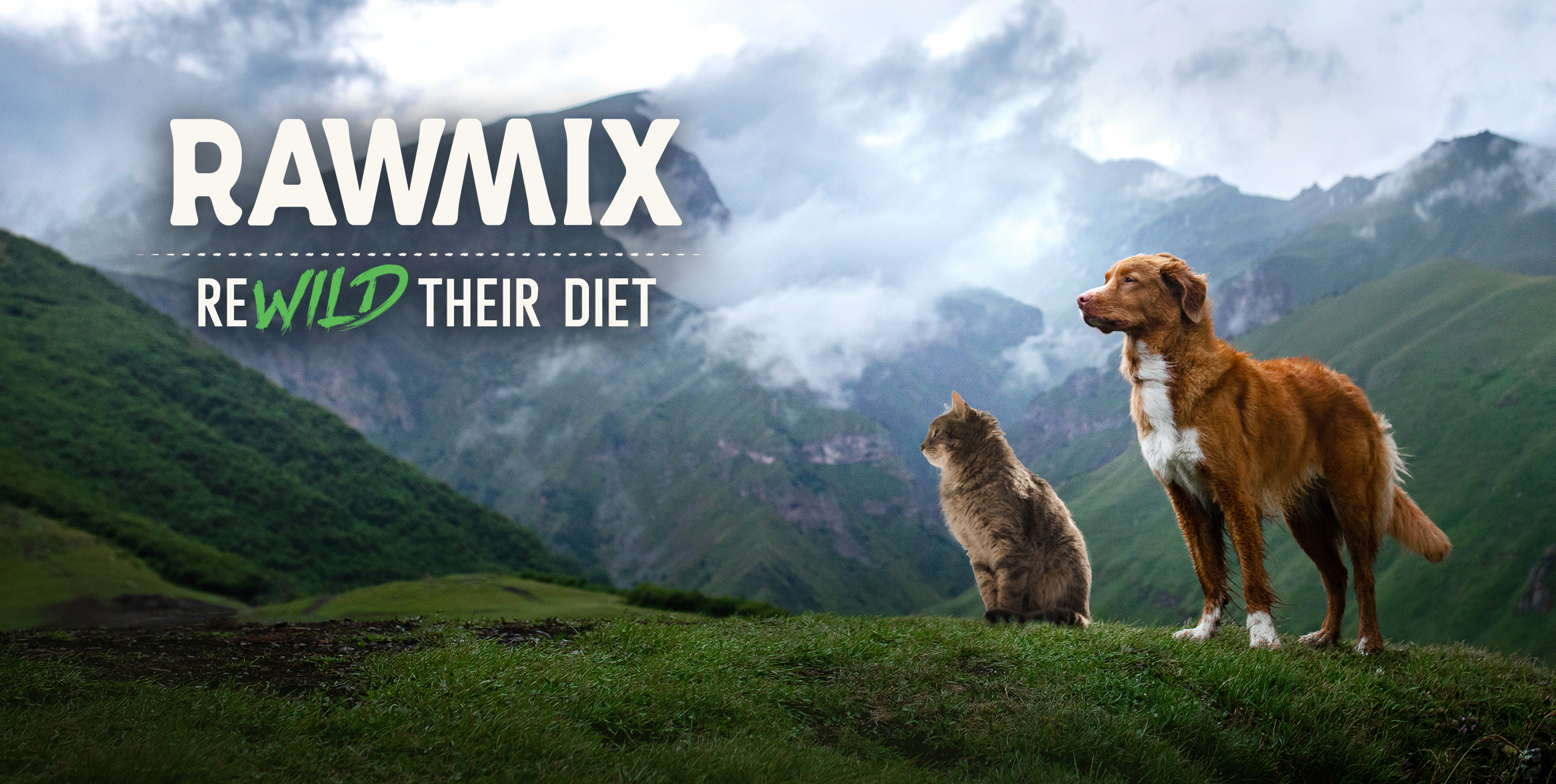 What is RawMix?: Raw Coated Kibble Made from Premium Ingredients | Open ...