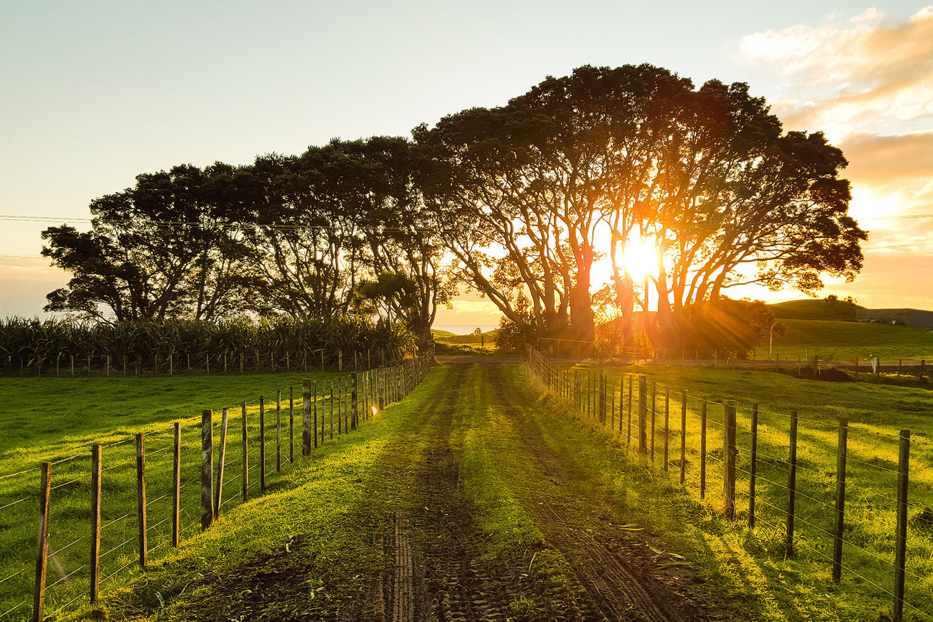 The Open Farm Promise | Open Farm – Open Farm - Canada