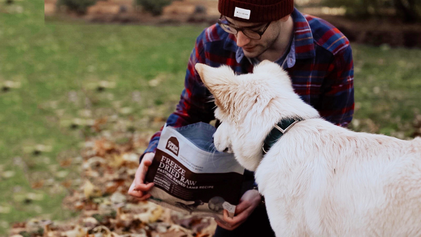4 Ways To Celebrate National Dog Week | Open Farm – Open Farm - Canada