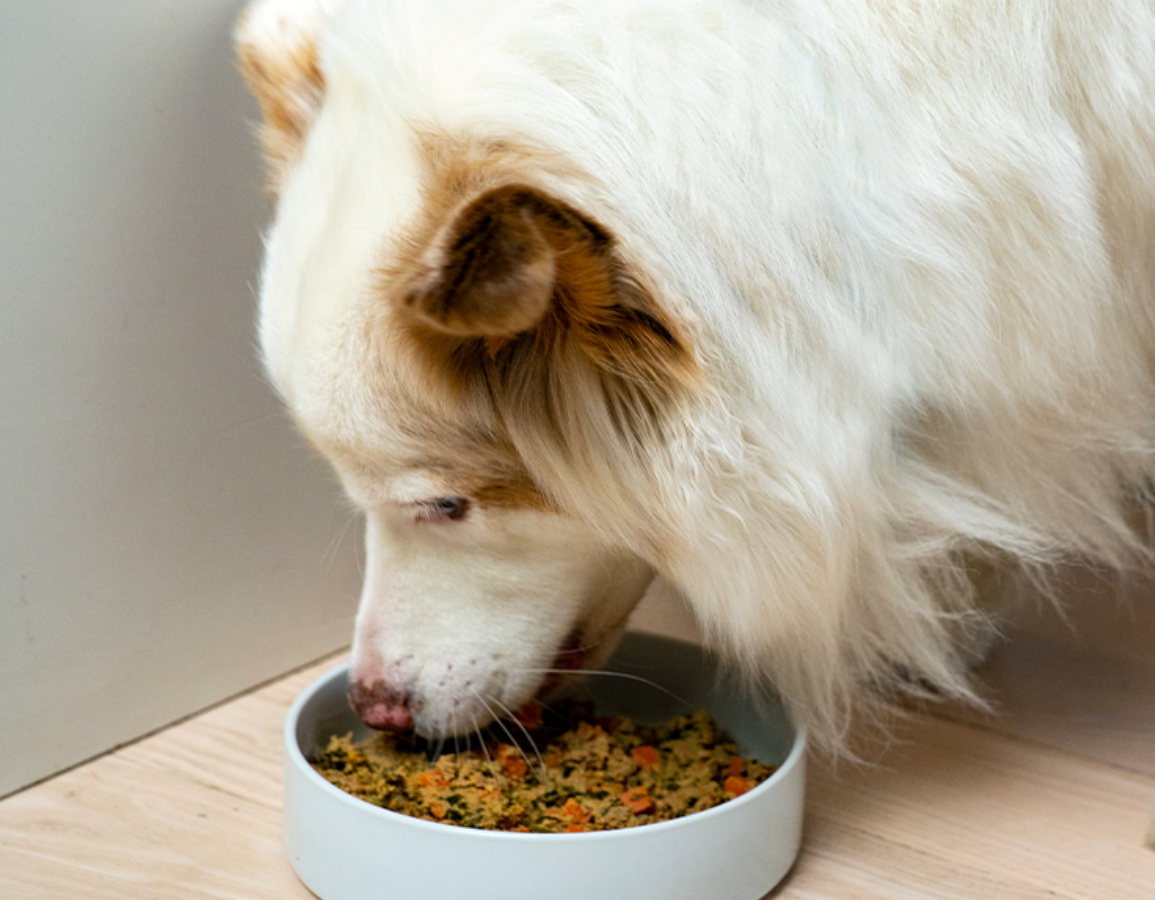 Gently Cooked Dog Food Serving Size Guide | Open Farm – Open Farm - Canada