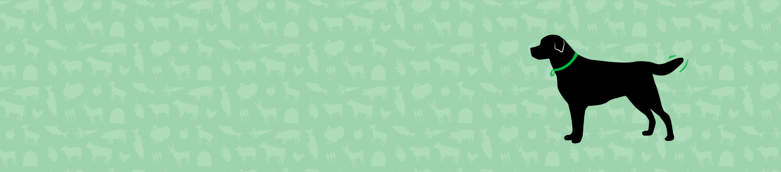 Dog Variety Packs & Bundles | Open Farm – Open Farm - Canada