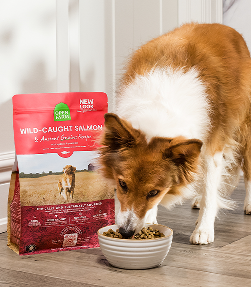 About Open Farm Pet Food | Open Farm – Open Farm - Canada