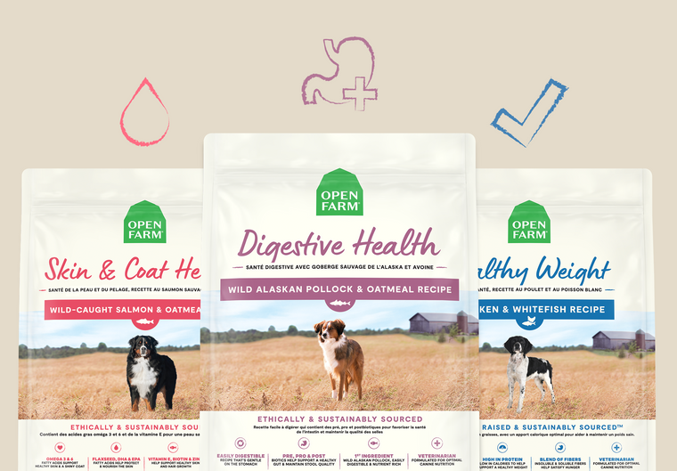 All Cat Food – Open Farm - Canada