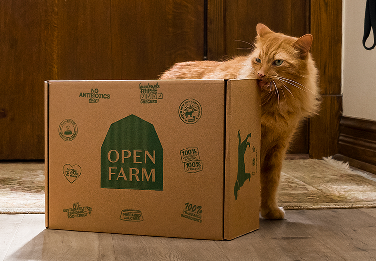 Senior Dog Food - Grain Free Senior Dry Dog Food - Open Farm – Open ...