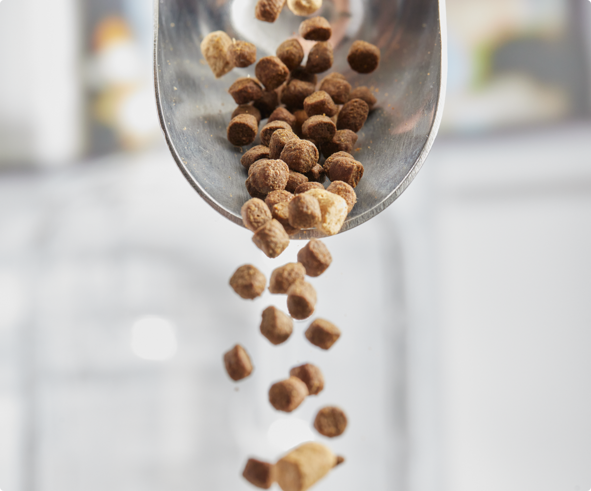 Open Prairie RawMix Dog Kibble with Ancient Grains | Proudly Canadian ...