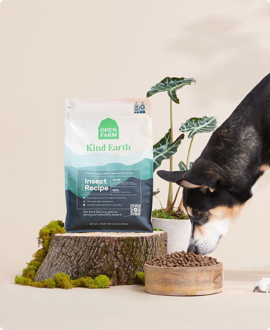 Kind Earth: Insect-Based Dog Food | Sustainable Dog Food | Open Farm ...