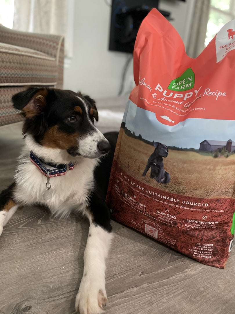 Ethically Sourced Proudly Canadian Dog & Cat Food | Open Farm – Open ...