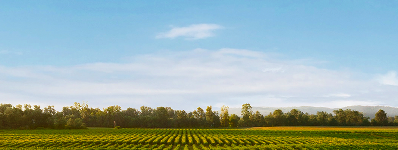 Customer Onboarding Landing Page – Open Farm - Canada
